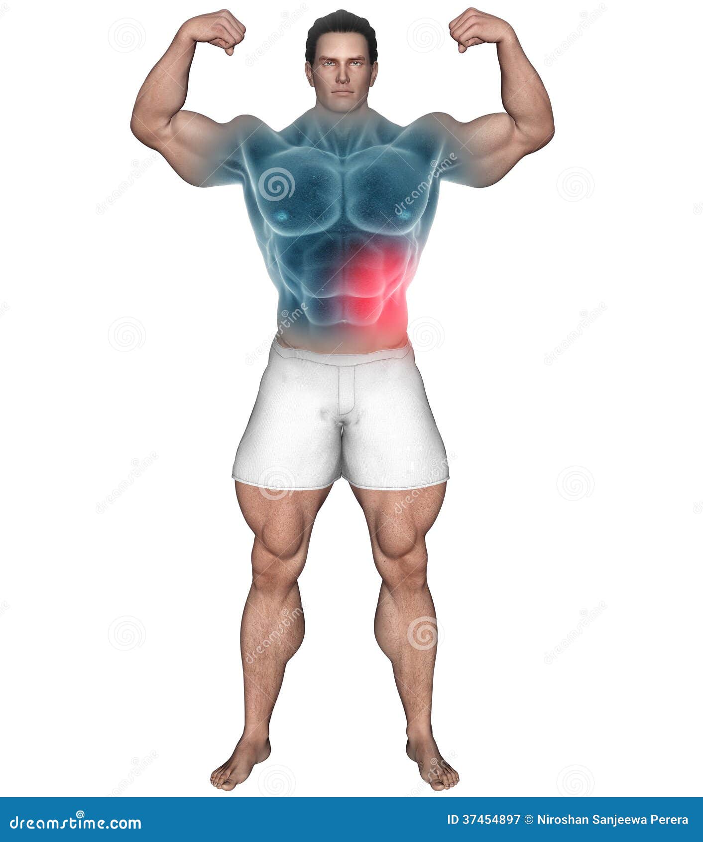 Body Builder with Abs Pain Highlighted Red Area Stock Illustration ...