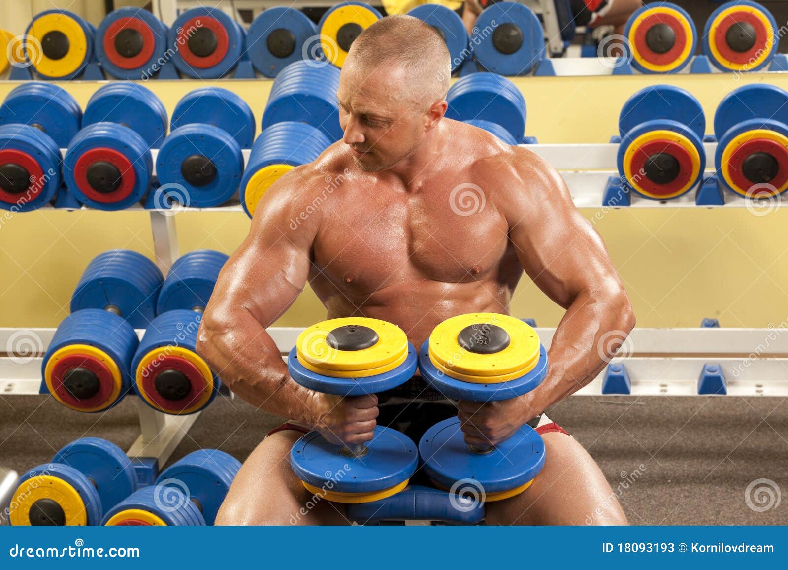 Body Builder Lifting Weights Stock Image - Image of heavy, human: 18093193