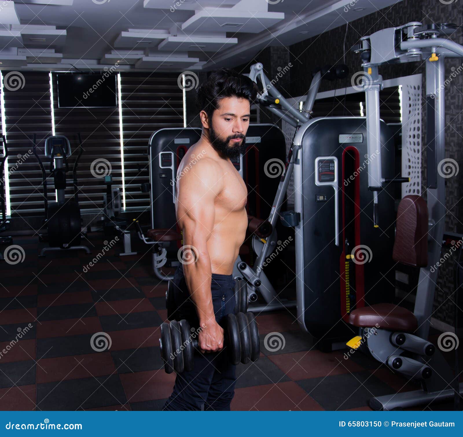 Body Builder stock photo. Image of human, builder, model - 65803150