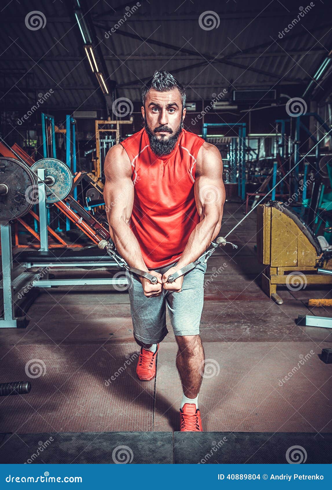 Body Builder Working stock photo. Image of lift, muscles - 40889804