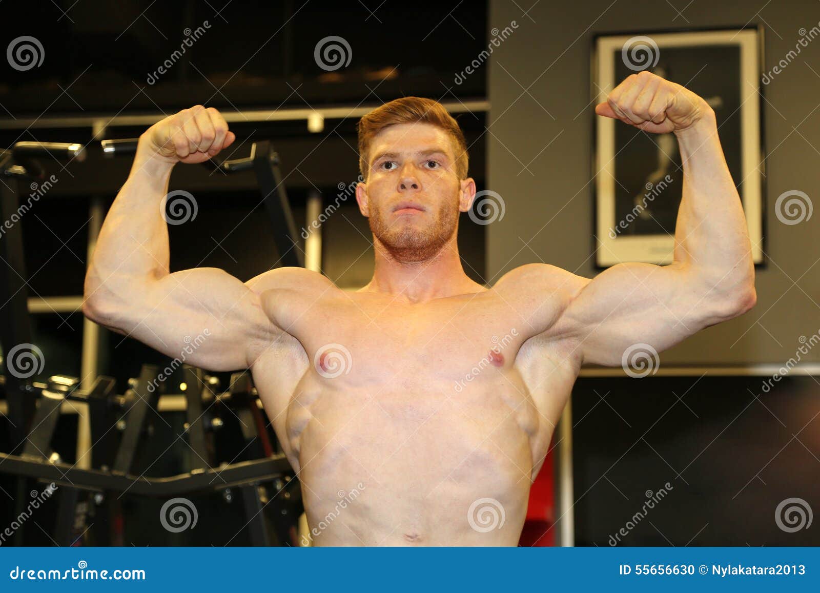 Body builder stock photo. Image of loading, diuretics - 55656630