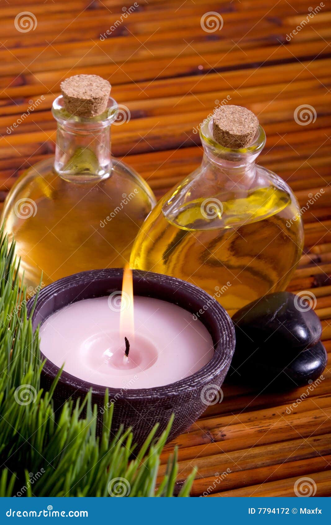 Body care items stock photo. Image of oils, bodycare, flower - 7794172