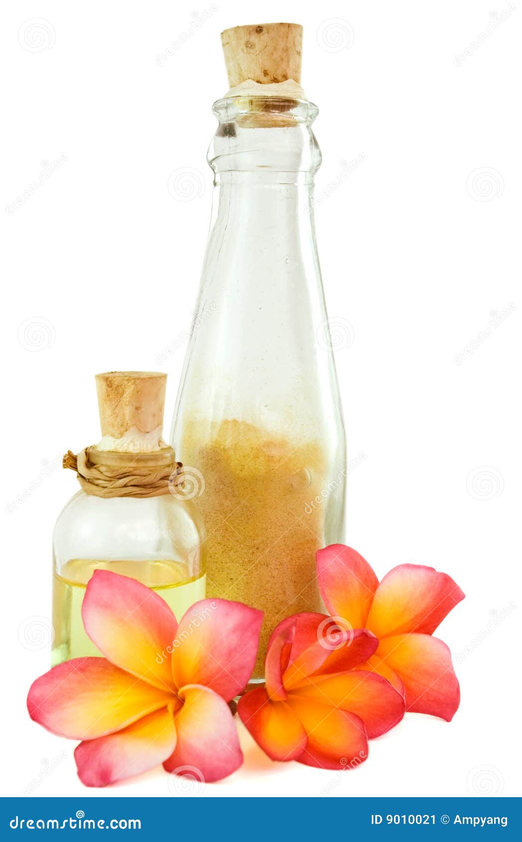 Body care items stock image. Image of essential, items - 9010021