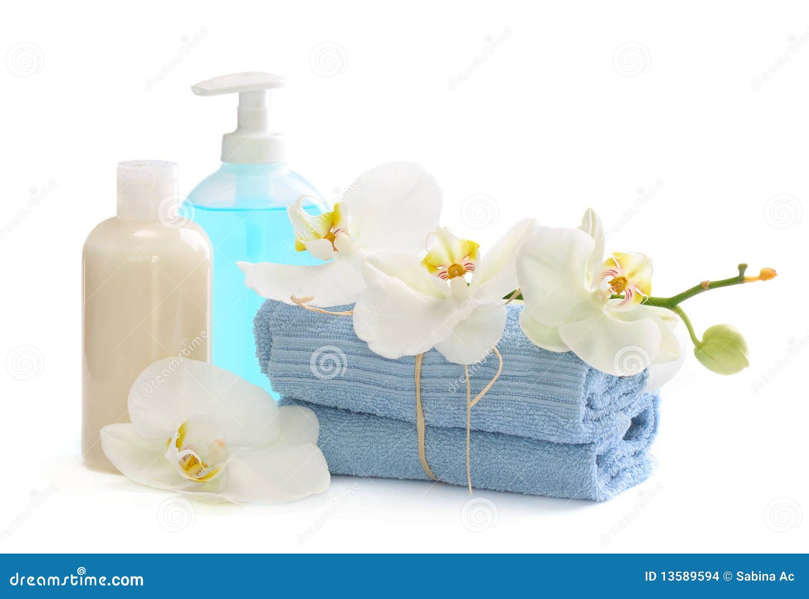 Body care products stock photo. Image of toiletries, product - 13589594