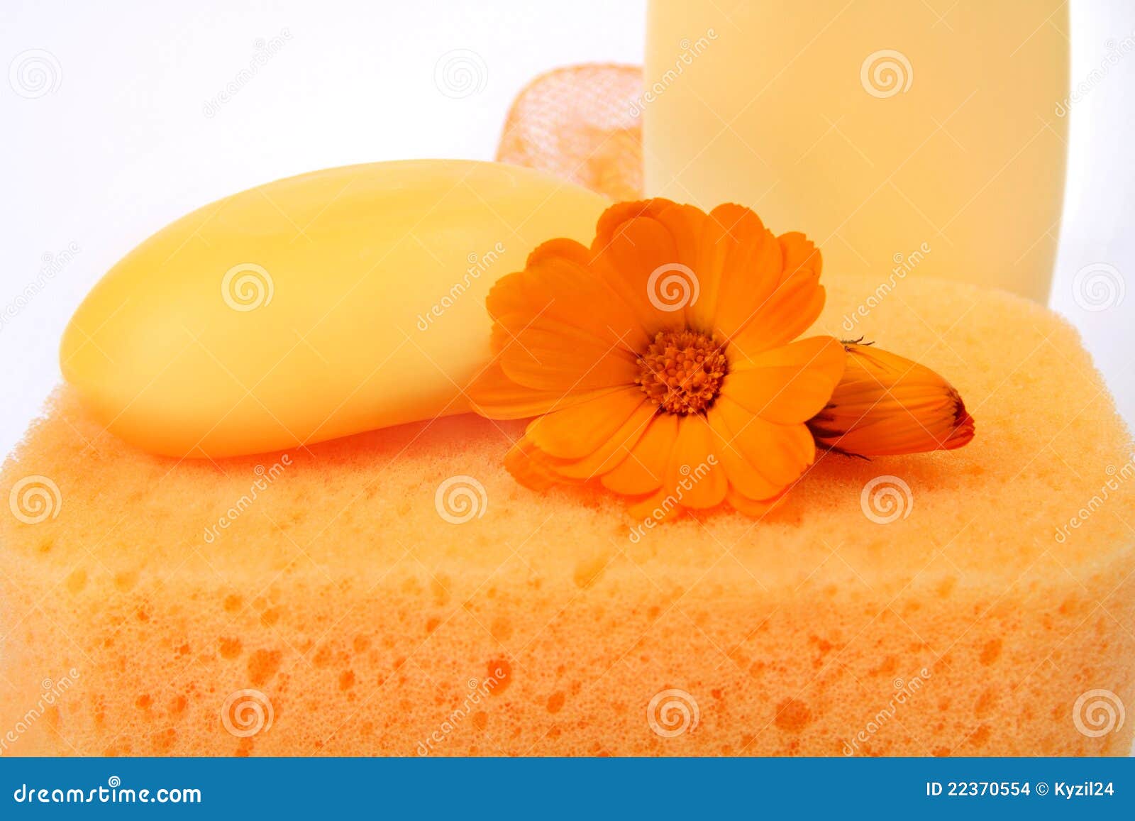 Body care things stock photo. Image of products, nature - 22370554