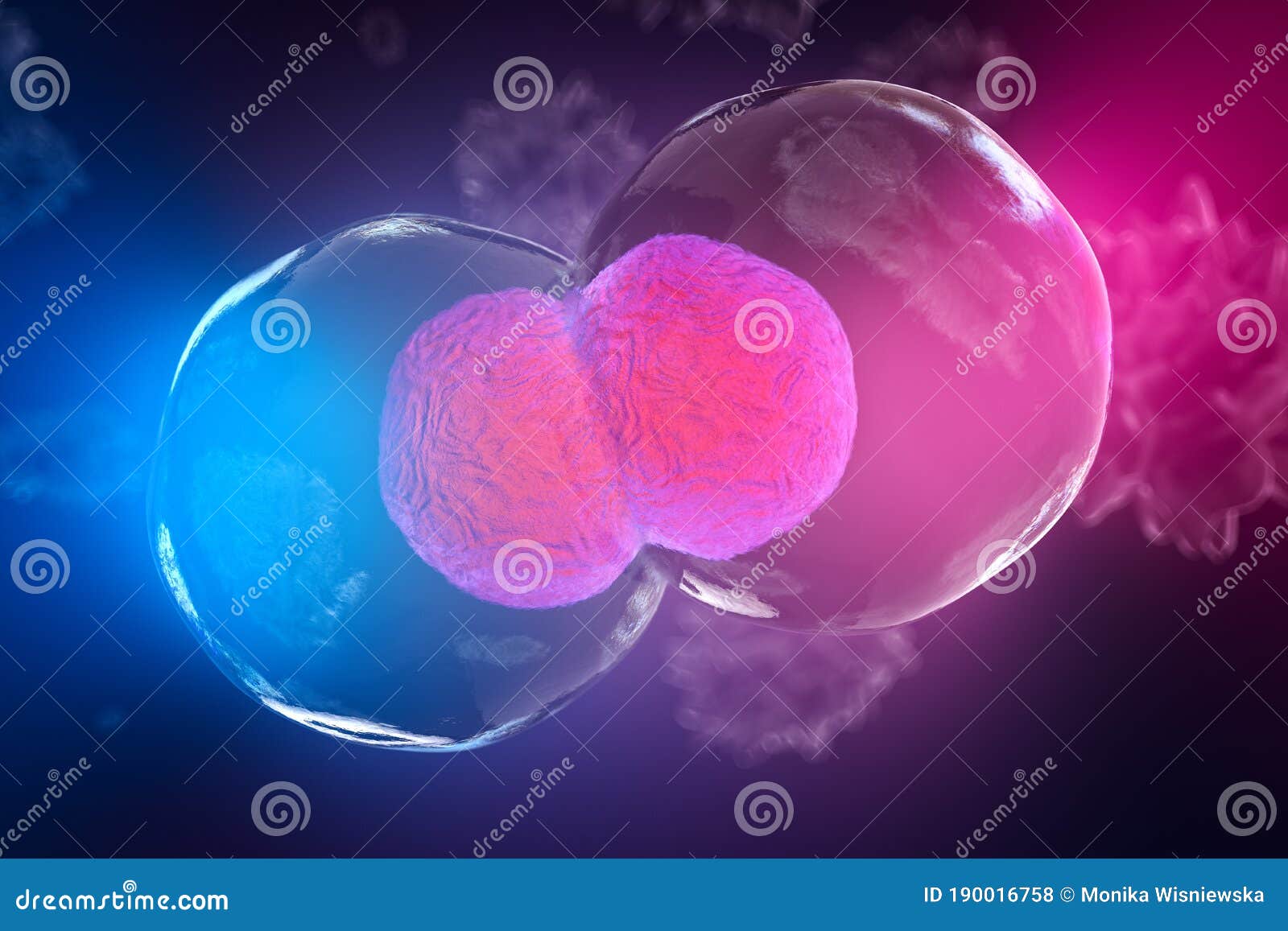 Body Cell Division Under a Microscope Stock Illustration - Illustration ...