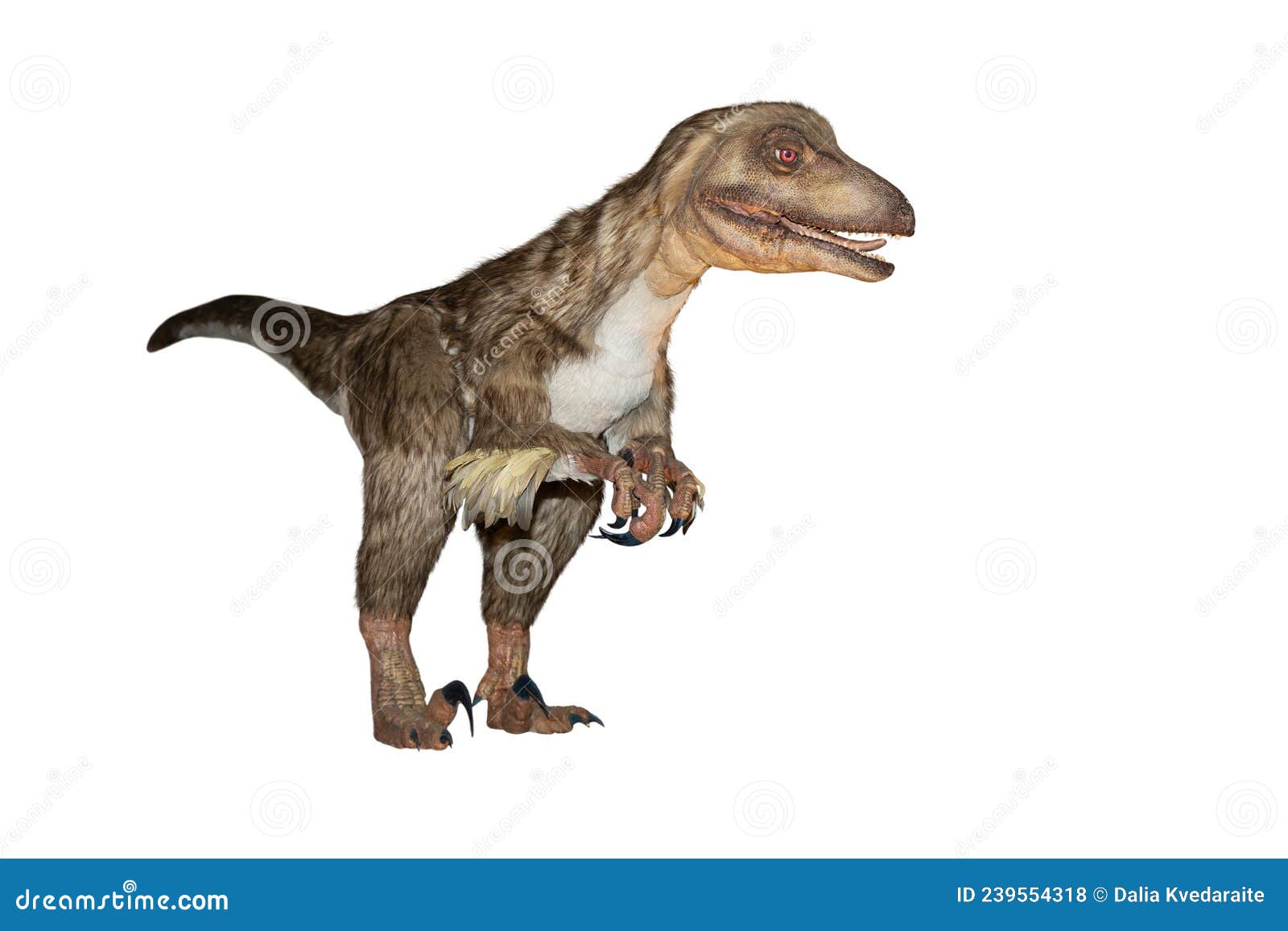 Body of a Dinosaur Isolated on a White Background Stock Photo - Image ...