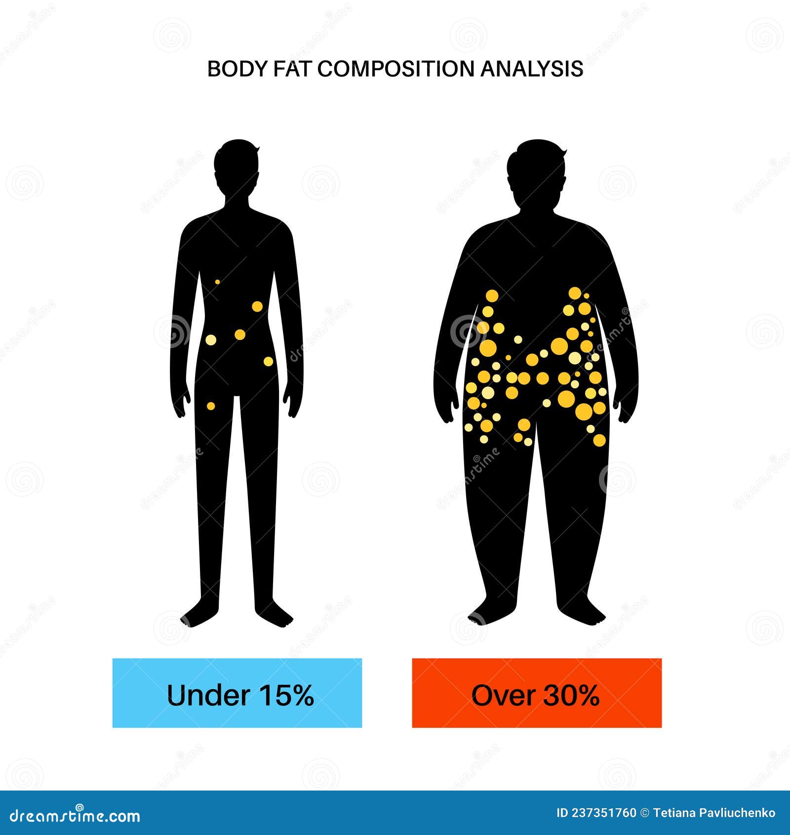 Body fat composition stock illustration. Illustration of vector - 237351760