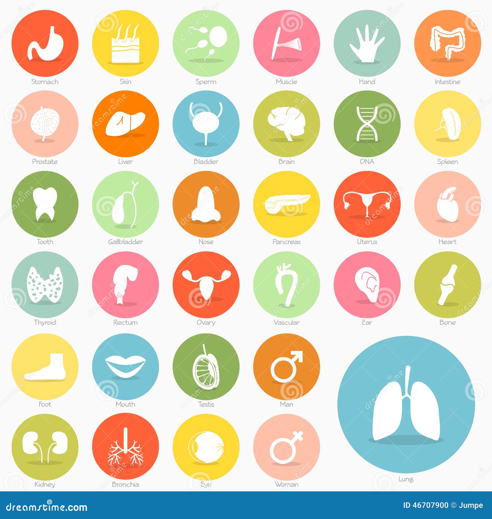 Body Icon Short Shadow Design Stock Vector - Illustration of bone ...