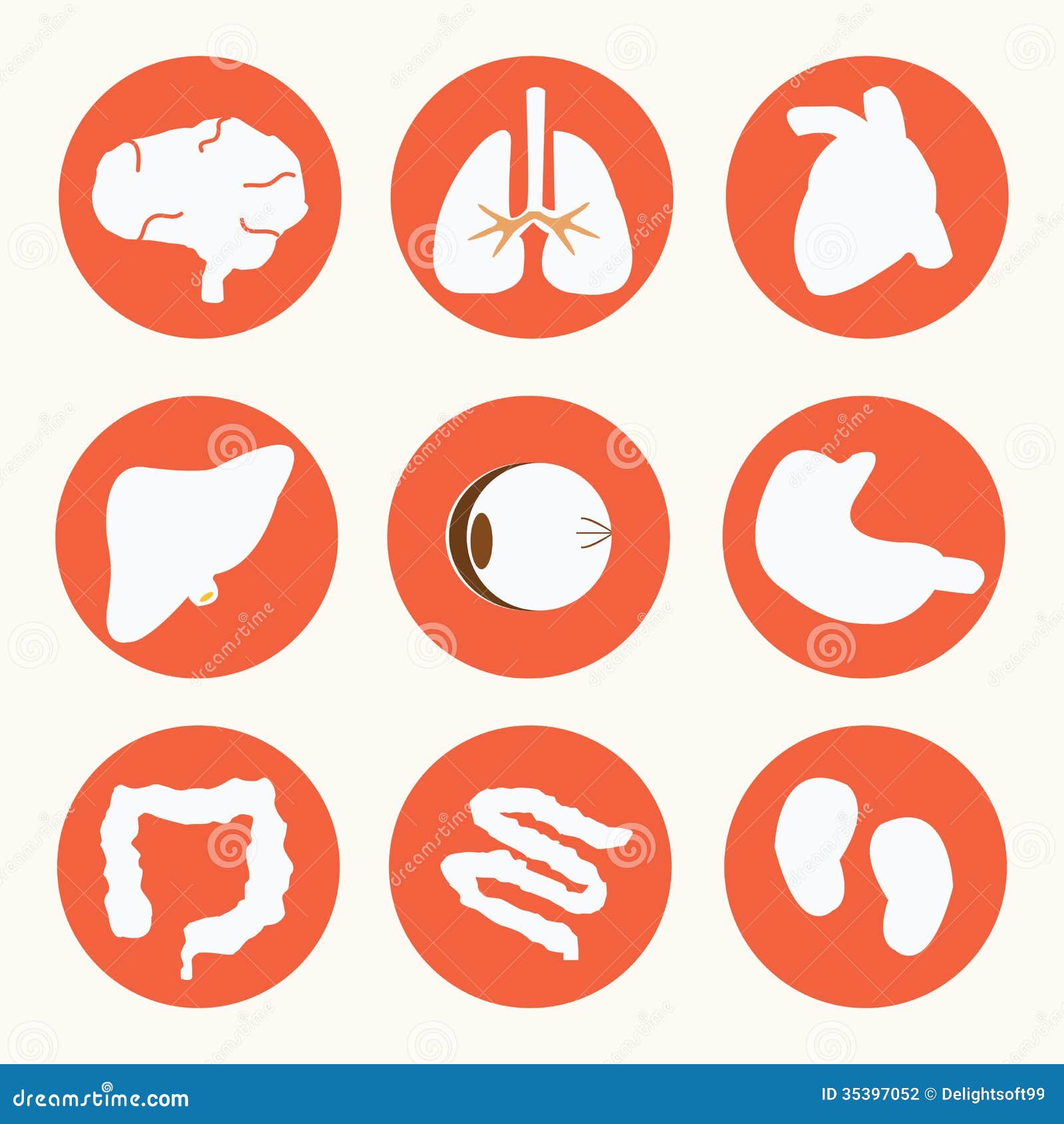 Body icon,vector stock vector. Illustration of heart - 35397052