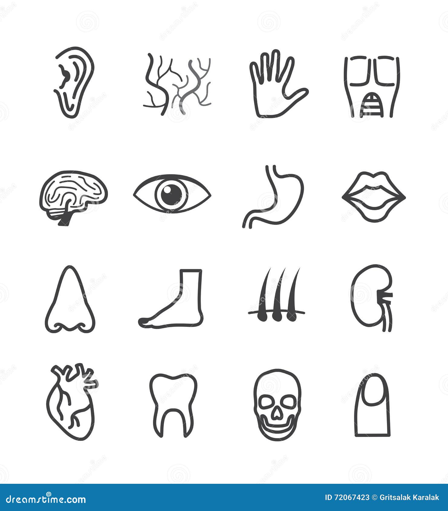 Set Of Body Icons With Infinity Symbol Vector Illustration ...