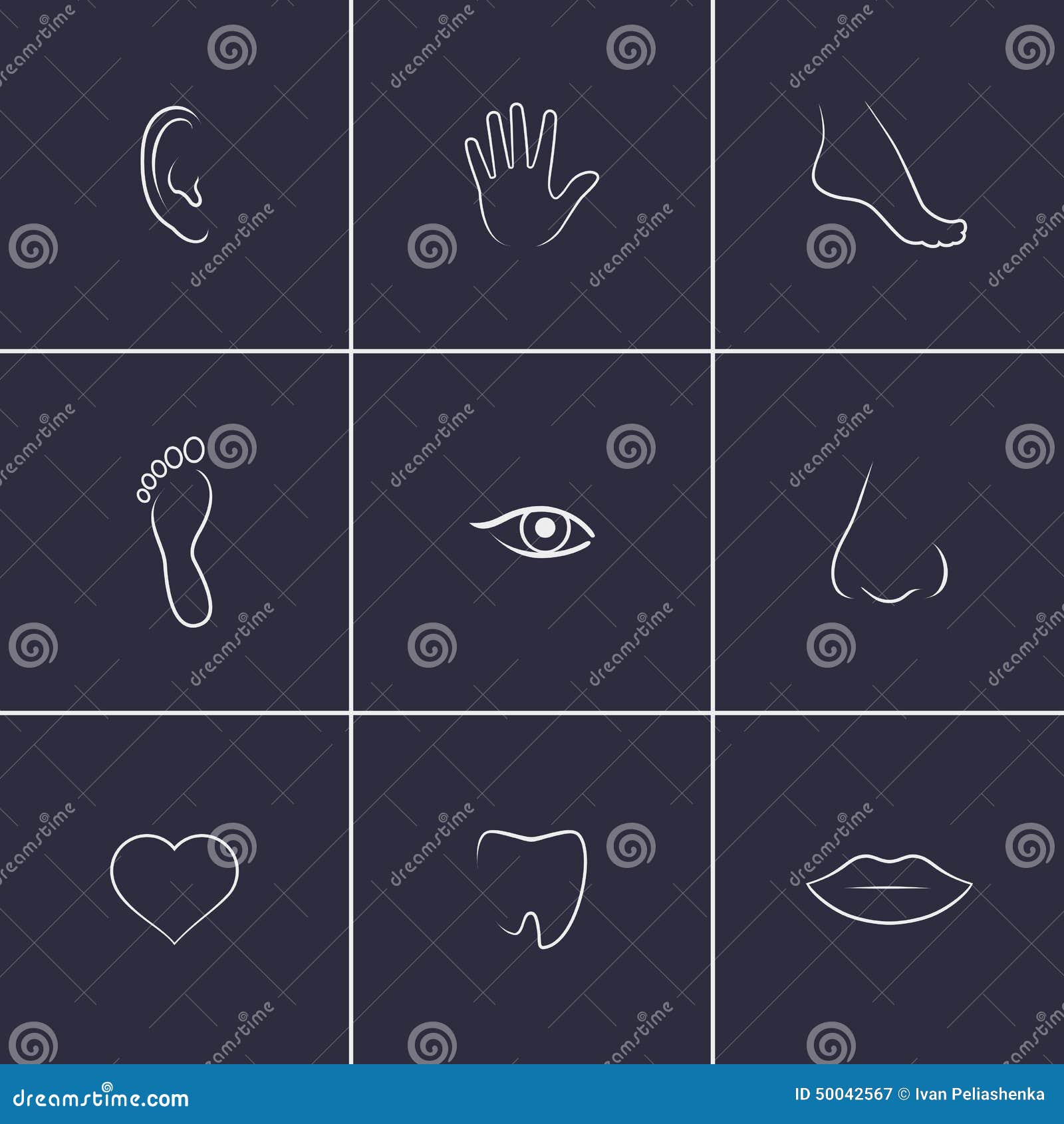 Body Icons stock illustration. Illustration of anatomy - 50042567