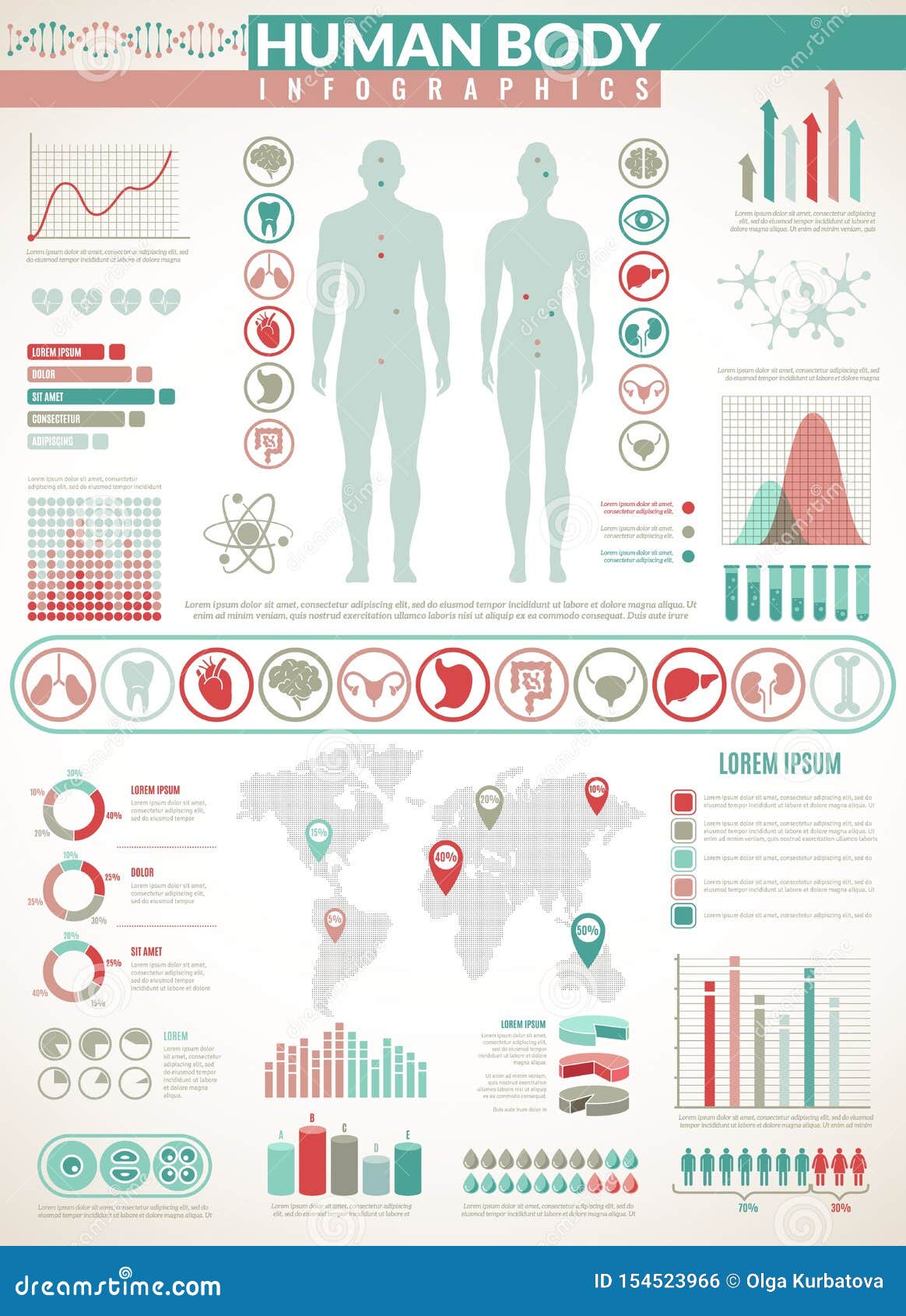 Body Infographics Human Health Medical Vector Anatomy Infographic With