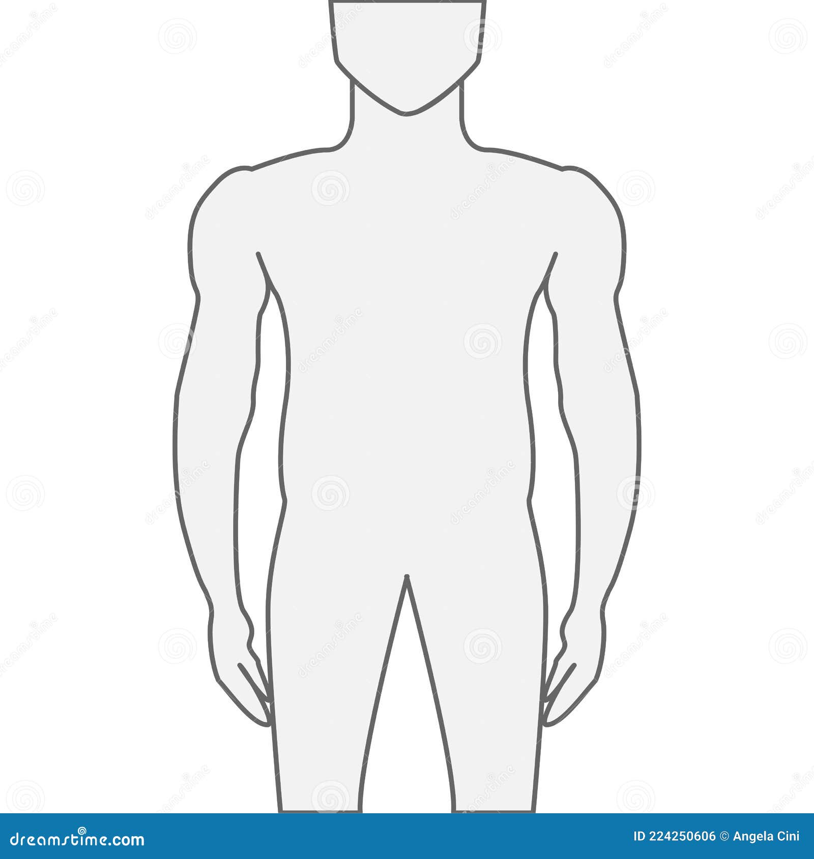 Body of a Man Isolated Illustration Stock Vector - Illustration of male ...