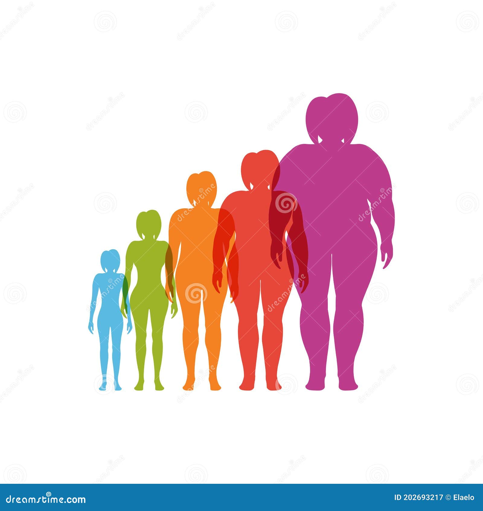 Body Mass Index Vector Illustration Stock Vector - Illustration of ...