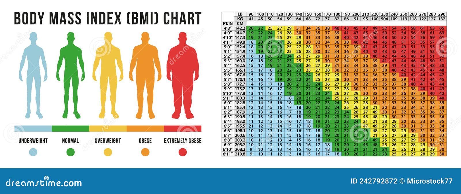 Body Masse Index Chart, Vector Illustration Stock Vector - Illustration ...