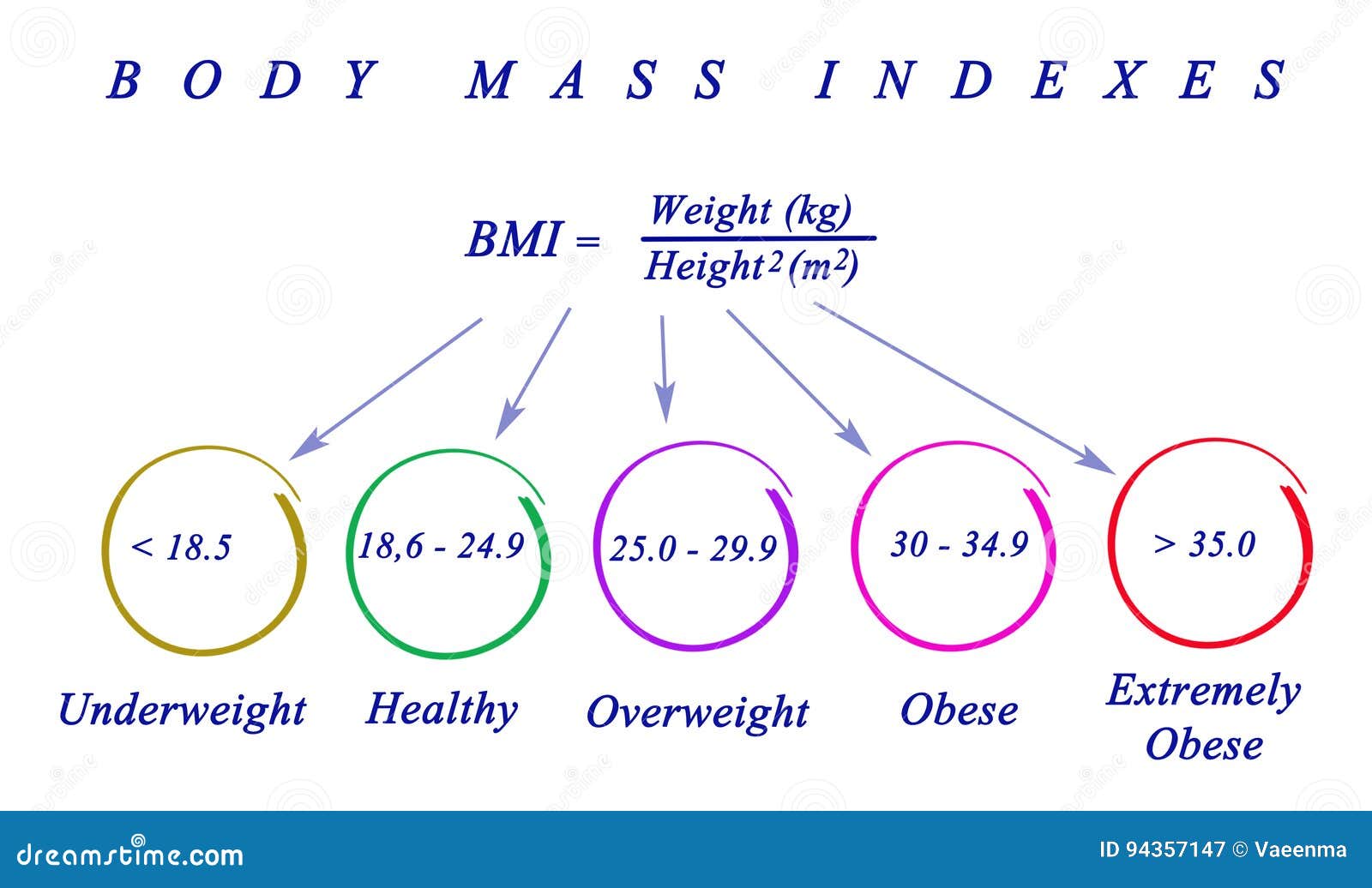 Body Max Index stock illustration. Illustration of concept - 94357147
