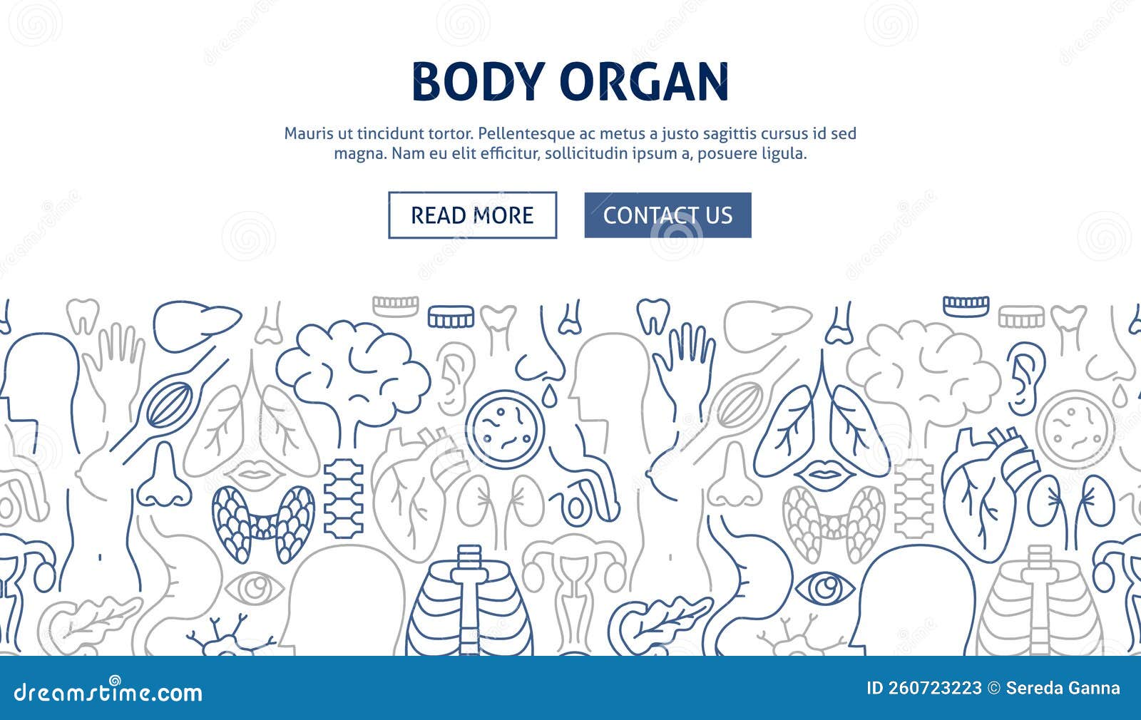 Body Organ Banner Design stock vector. Illustration of muscle - 260723223