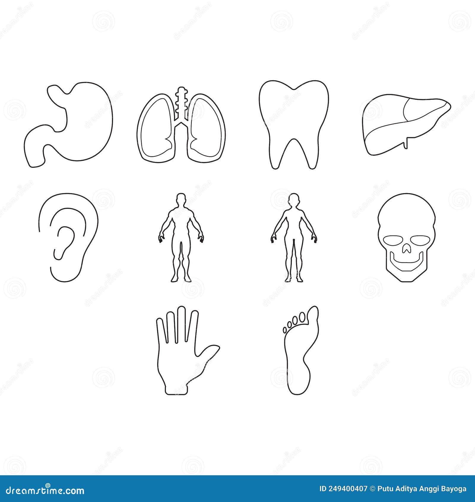 Body part icon set stock vector. Illustration of simple - 249400407