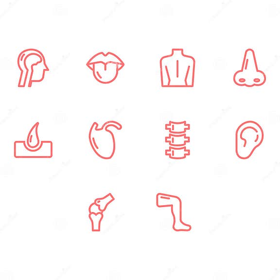 Body part icon set stock vector. Illustration of nose - 267461816