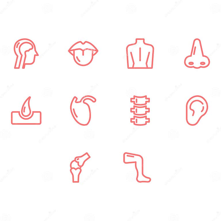 Body part icon set stock vector. Illustration of nose - 267461816