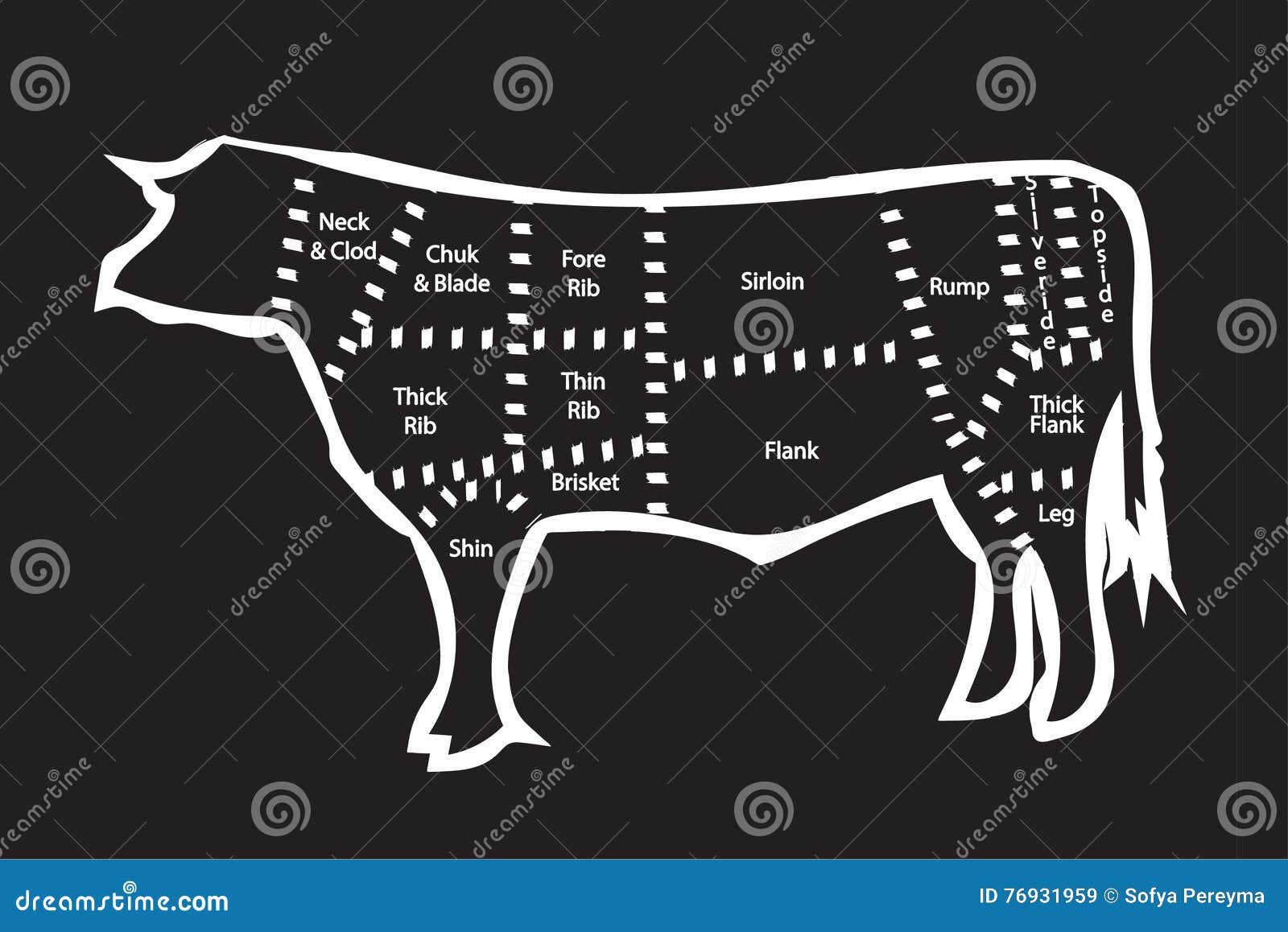 Body parts of a cow stock illustration. Illustration of meat - 76931959