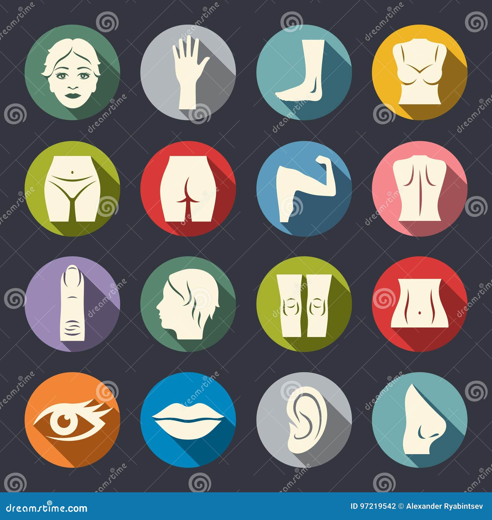 Body parts stock vector. Illustration of head, face, icon - 97219542
