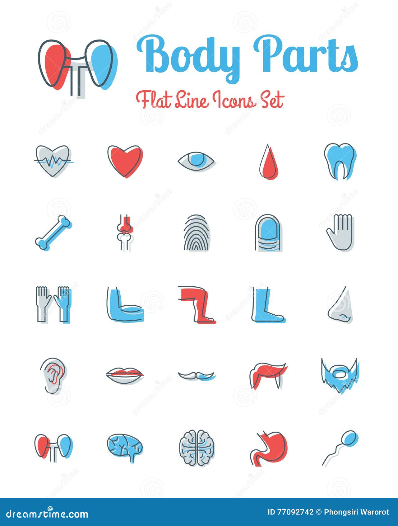 Body Parts Icons Set Flat Line Style Stock Vector - Illustration of ...