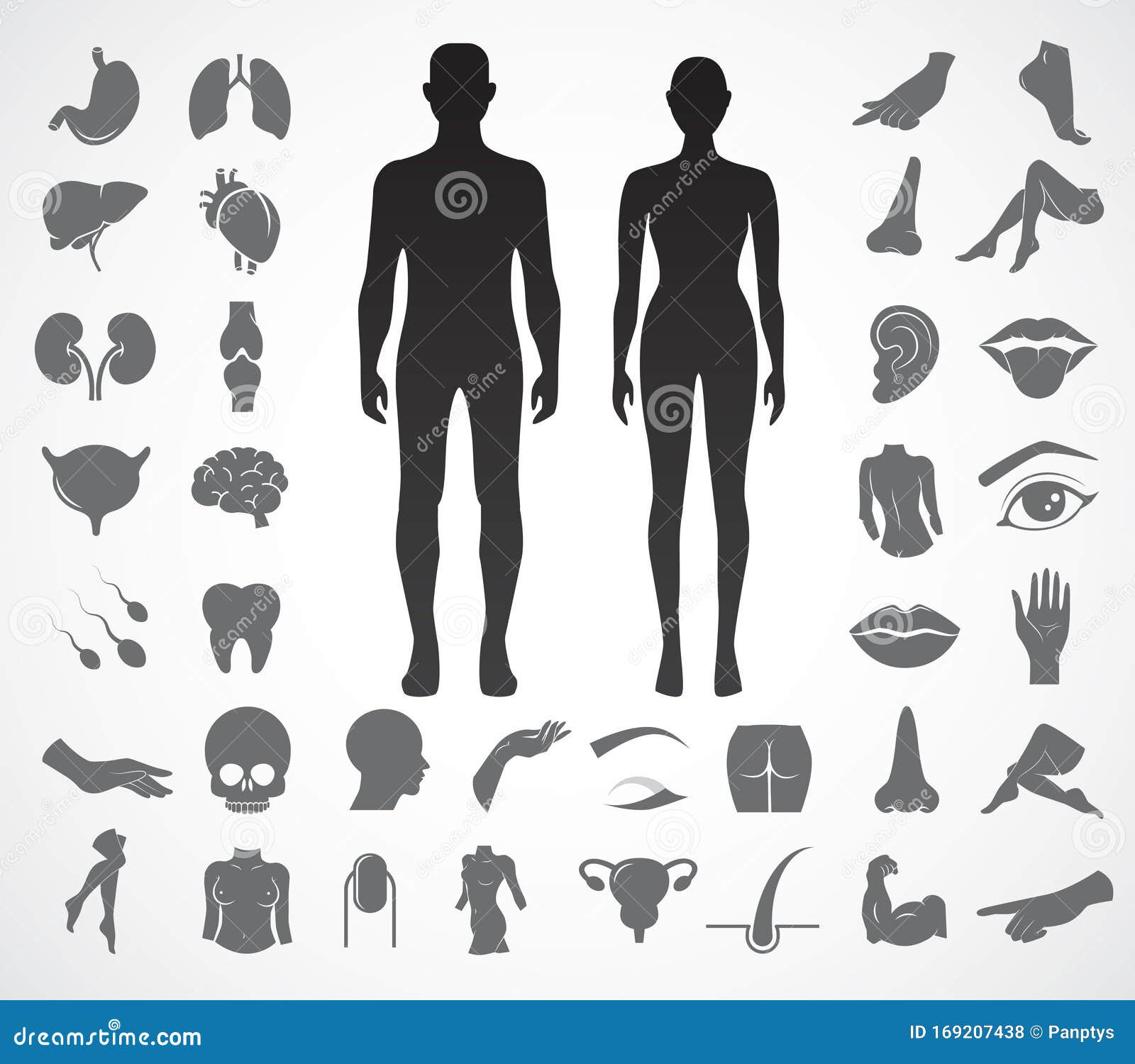 Body Parts Vector Icon Set. Stock Vector - Illustration of people, hair ...