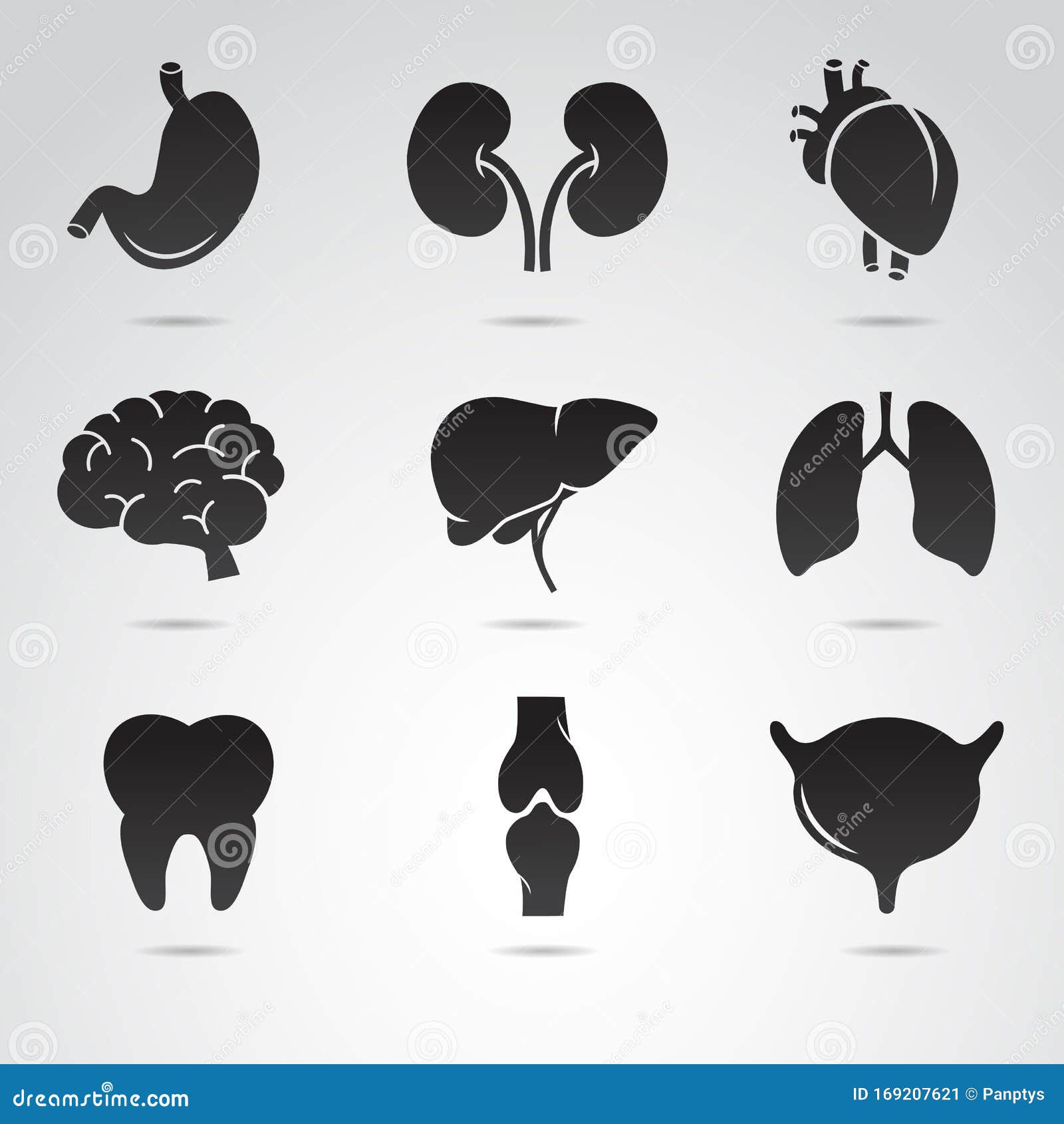 Body Parts Vector Icon Set. Stock Vector - Illustration of bone, female ...