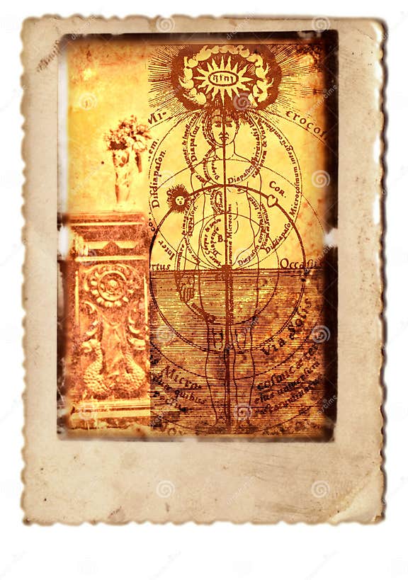 Body scheme stock photo. Image of academy, inspiration - 22918788