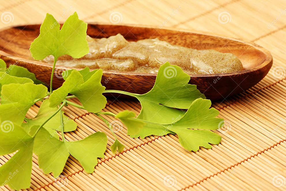 Body scrub stock image. Image of luxury, leaves, bath - 10001841