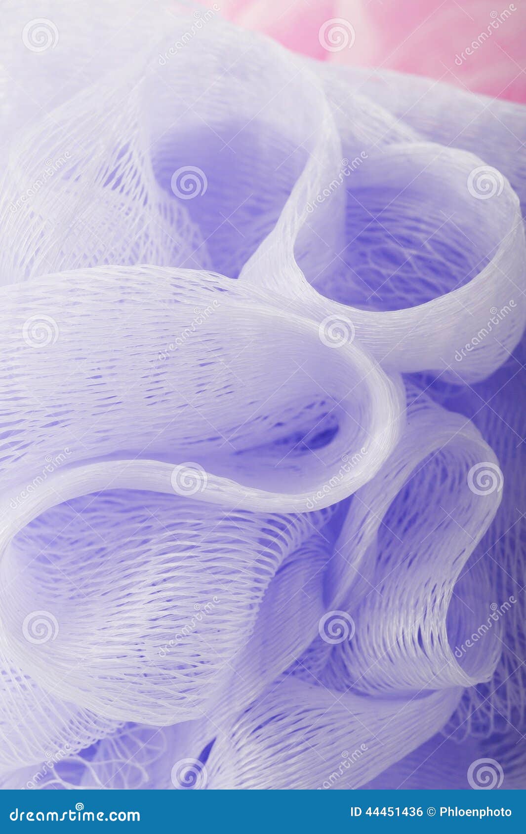 Body scrub stock photo. Image of soft, hygiene, skin - 44451436