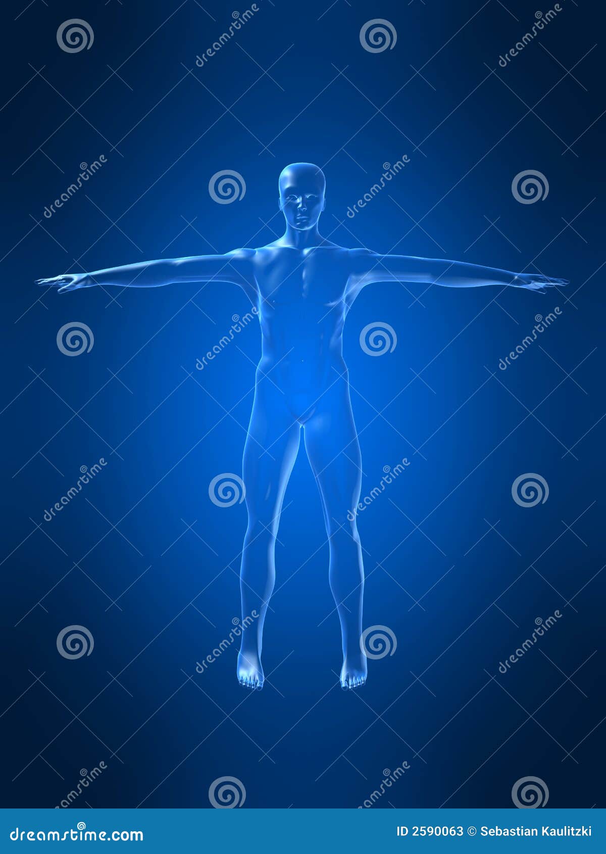 Body shape stock illustration. Illustration of anatomical - 2590063