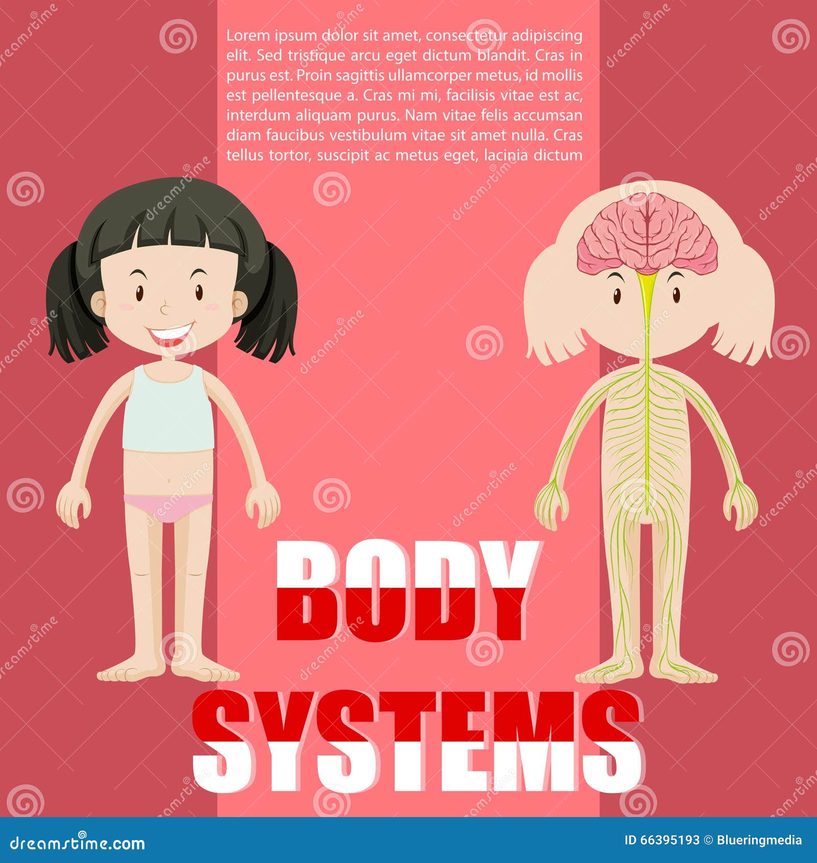 Body system of a girl stock vector. Illustration of clipart - 66395193