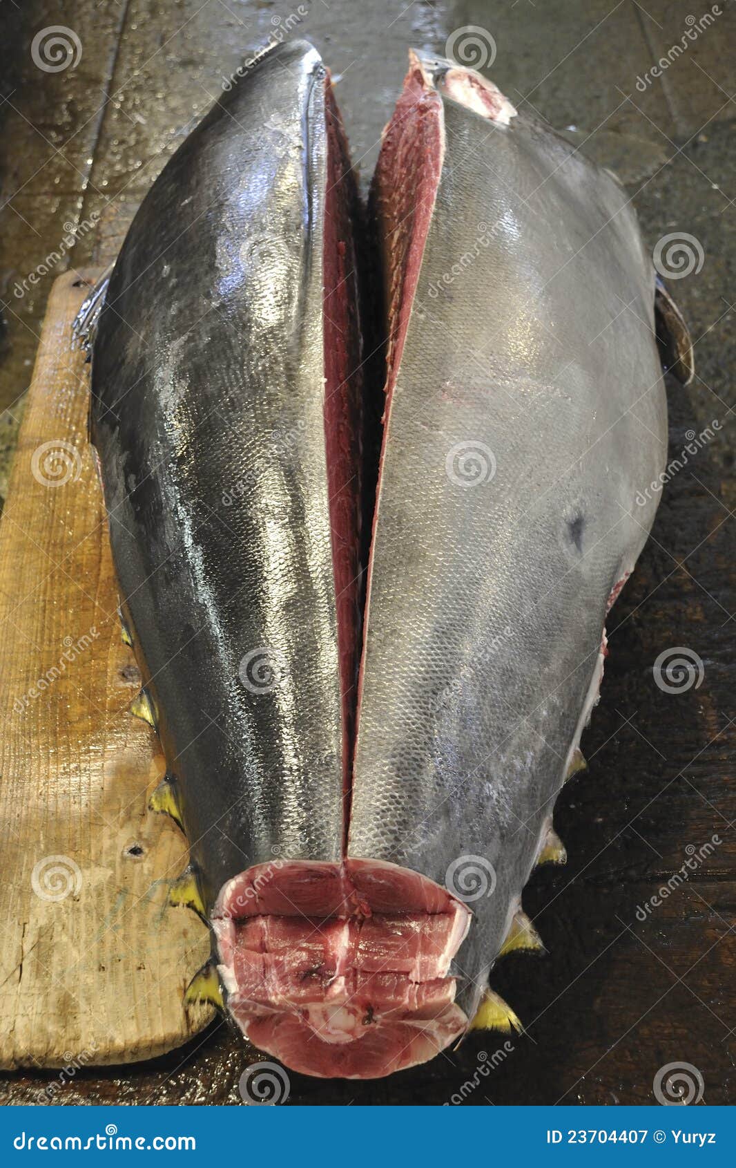 Body of tuna stock image. Image of counter, market, shop - 23704407