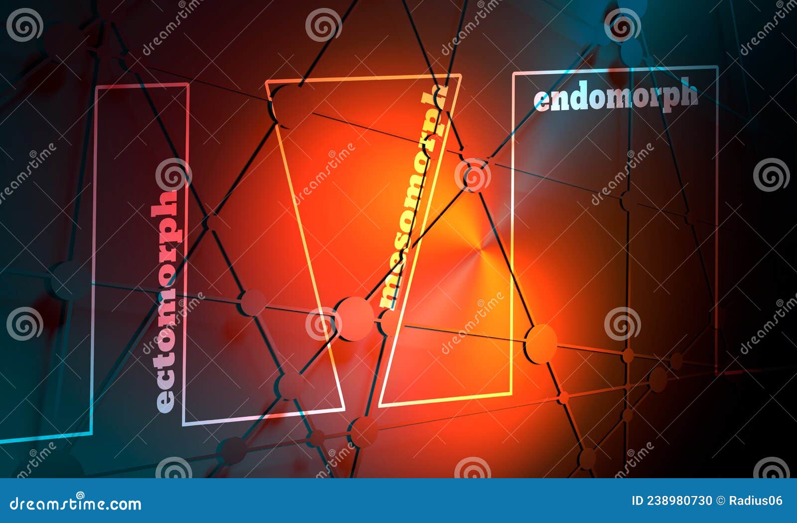 Body Types Icons Set. Ectomorph, Mesomorph and Endomorph. Stock Photo ...