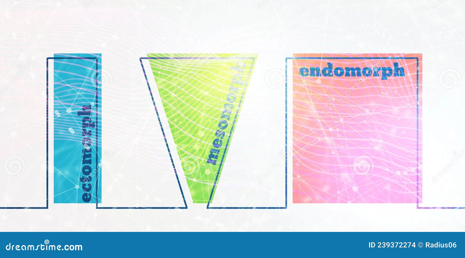 Body Types Icons Set. Ectomorph, Mesomorph and Endomorph. Stock ...