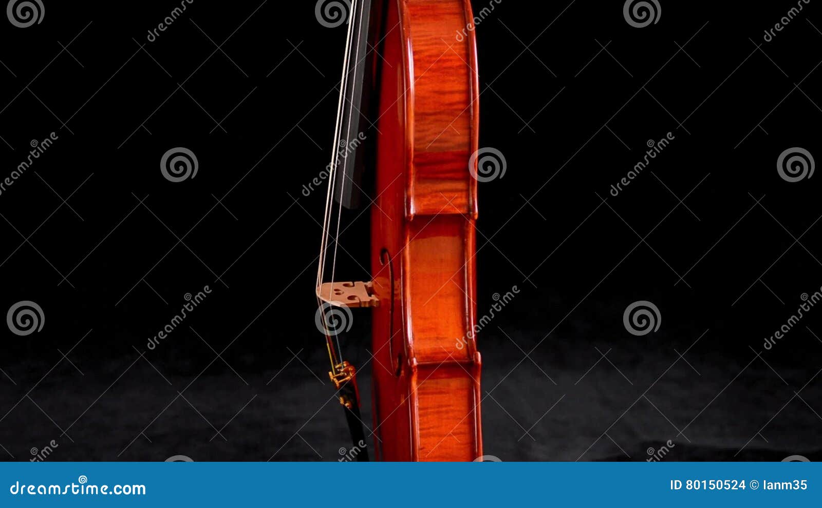 Body of Violin or Viola Instrument Turning at Black Background Stock ...
