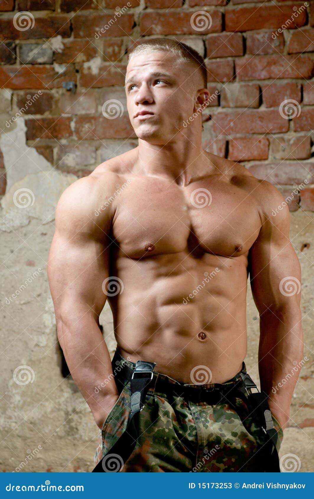 Bodybuilder stock image. Image of biceps, athlete, toned - 15173253