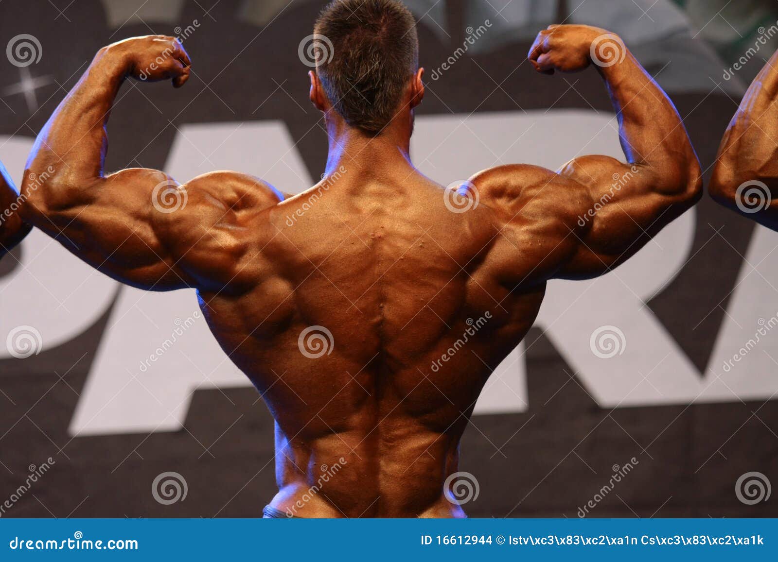 Bodybuilder imagen de archivo editorial. Imagen de actividad - 16612944