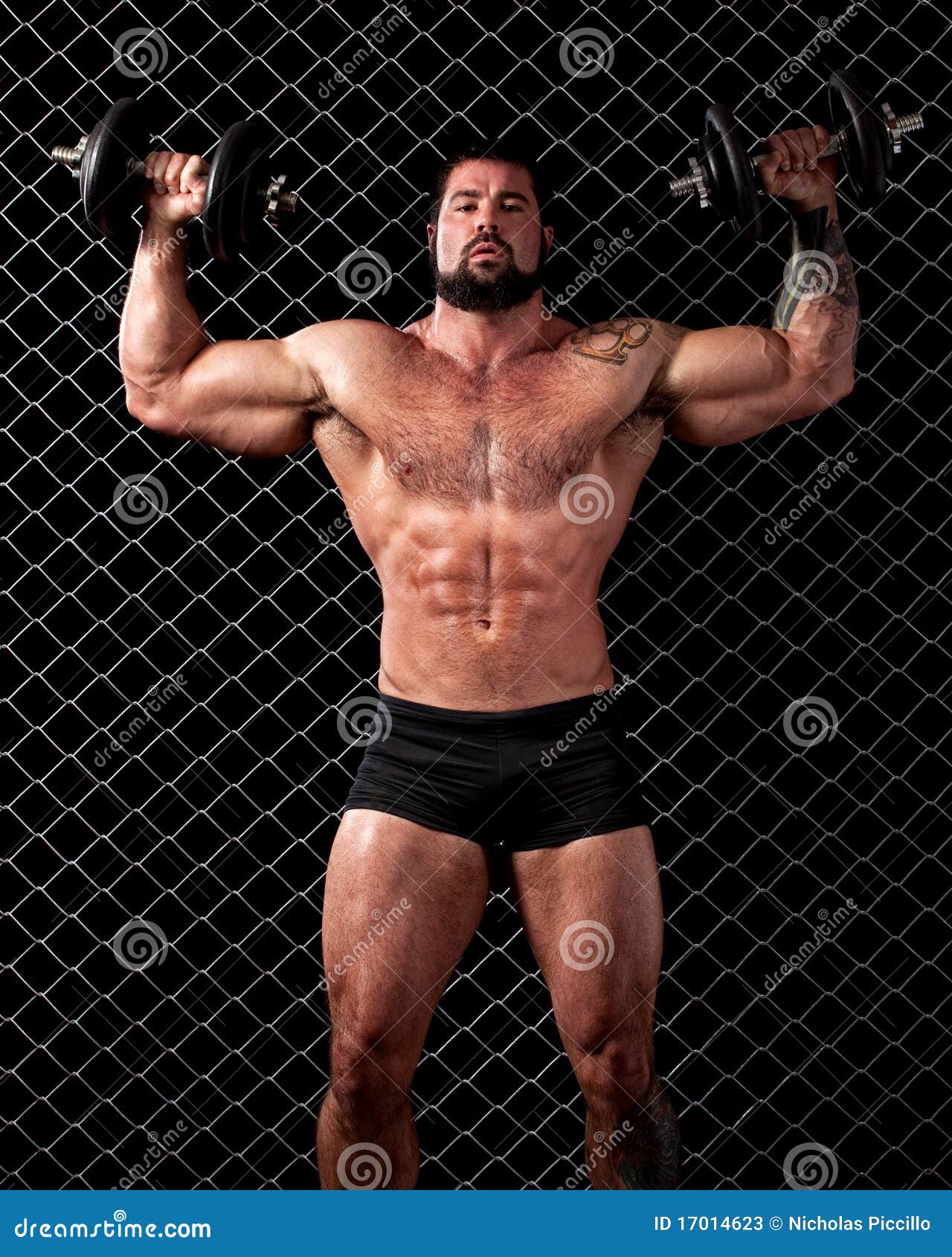 Bodybuilder stock image. Image of adult, building, black - 17014623
