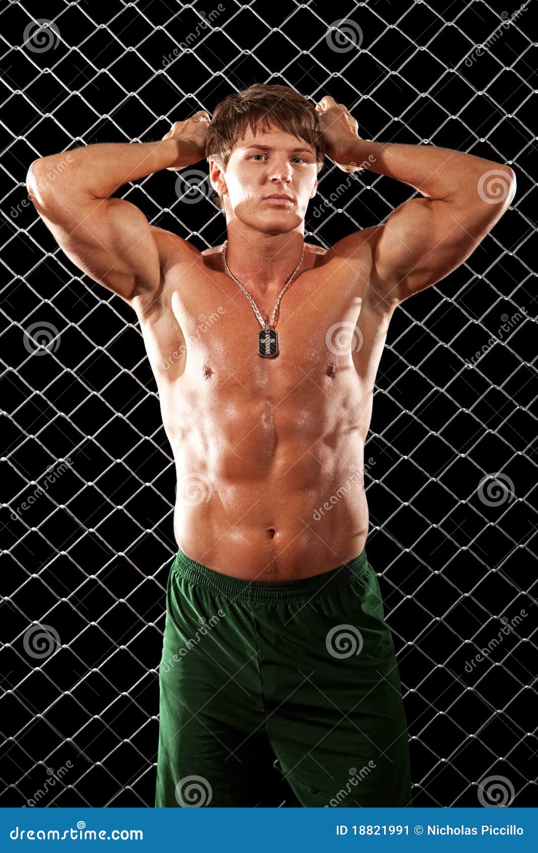 Bodybuilder stock image. Image of contact, body, muscle - 18821991