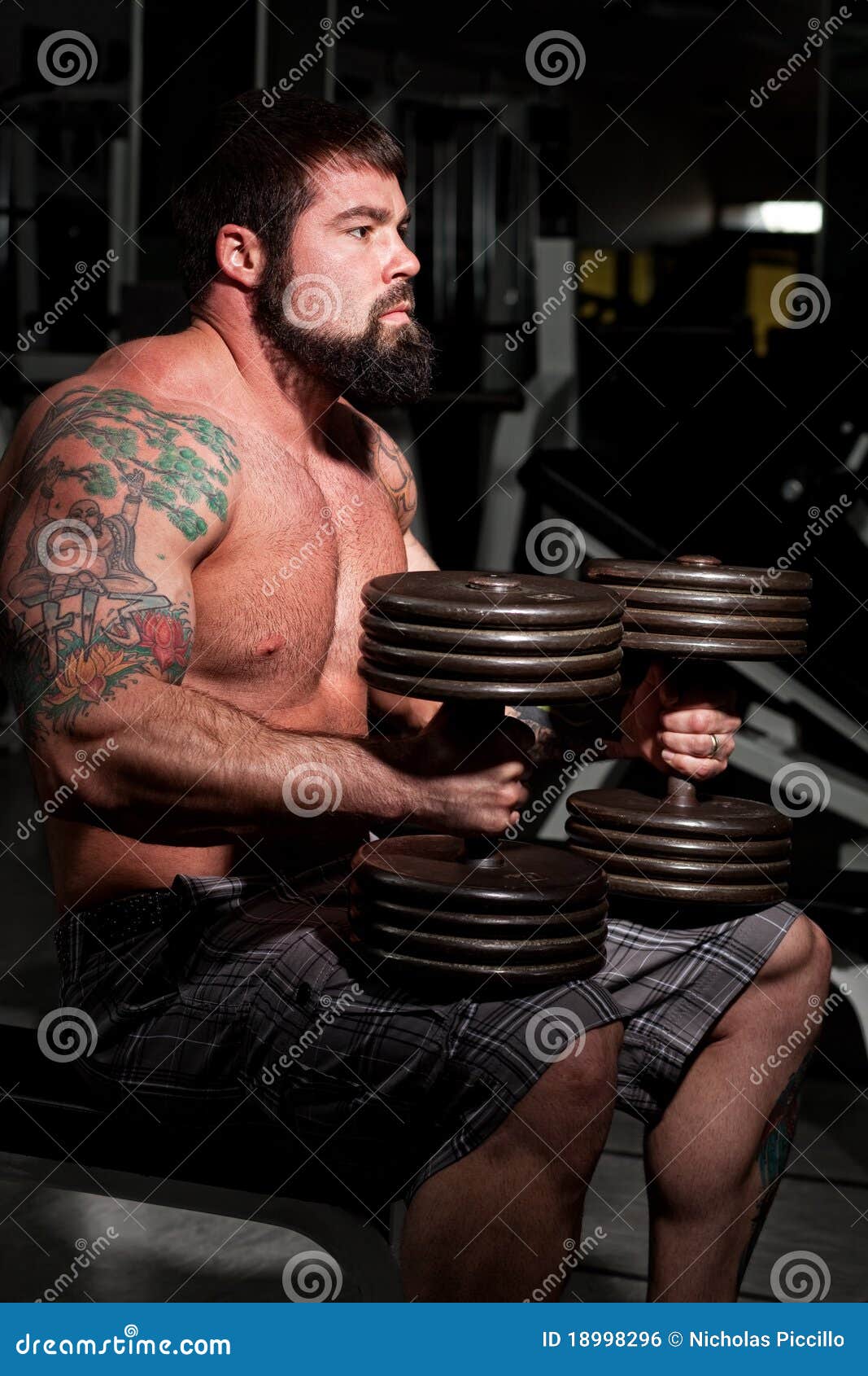 Bodybuilder foto de stock. Imagem de resistência, adulto - 18998296