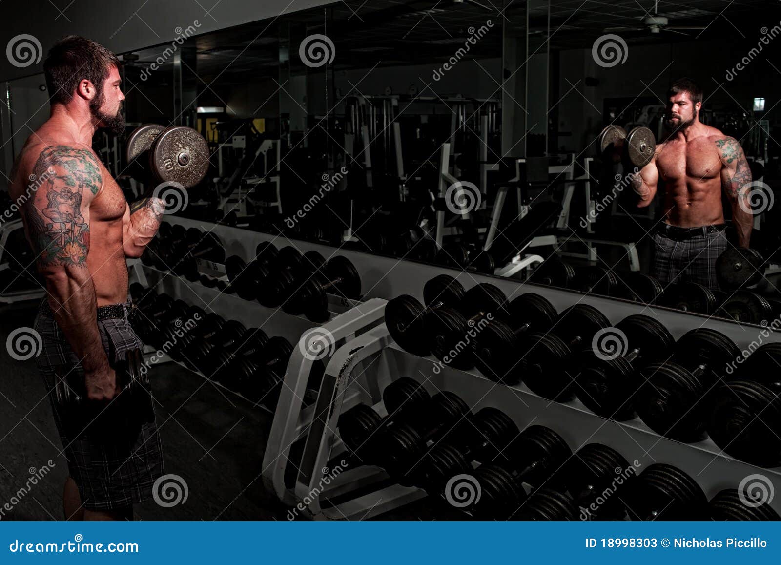 Bodybuilder stock image. Image of strength, athlete, exercise - 18998303
