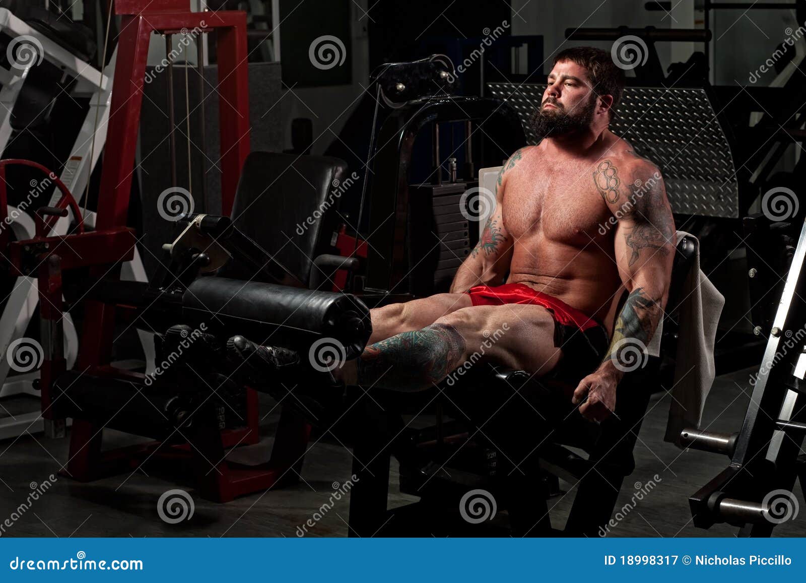 Bodybuilder imagen de archivo. Imagen de centro, bodybuilder - 18998317