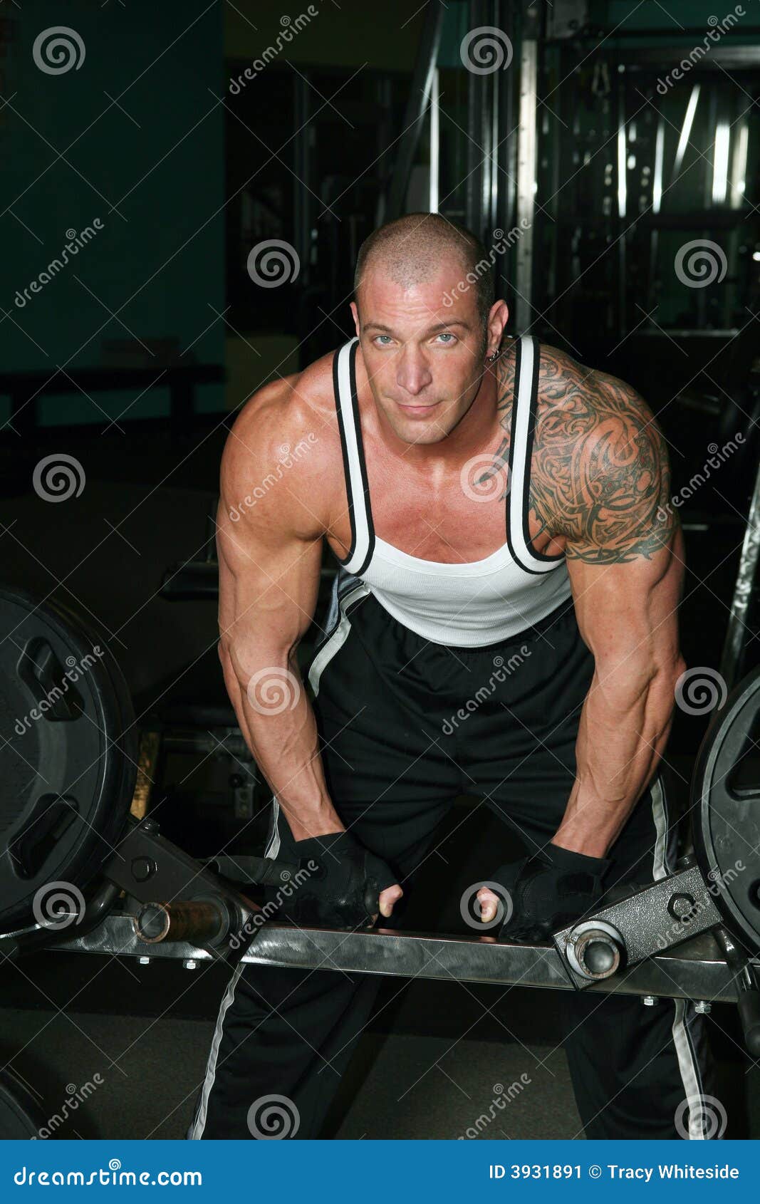 Bodybuilder stock image. Image of health, built, physique - 3931891