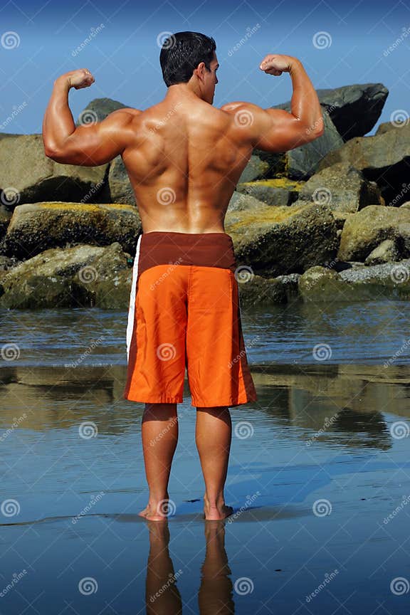 Bodybuilder back stock image. Image of outdoors, beach - 17535533