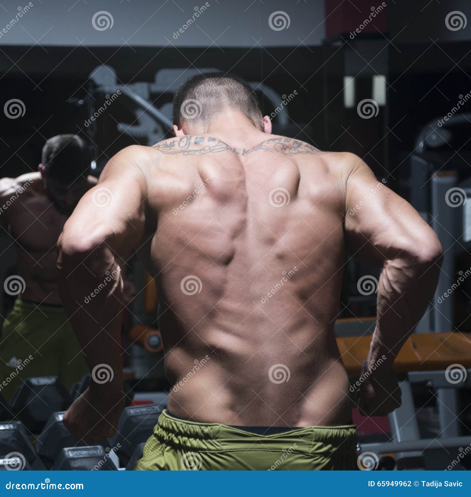 Bodybuilder from back stock photo. Image of cardiovascular - 65949962