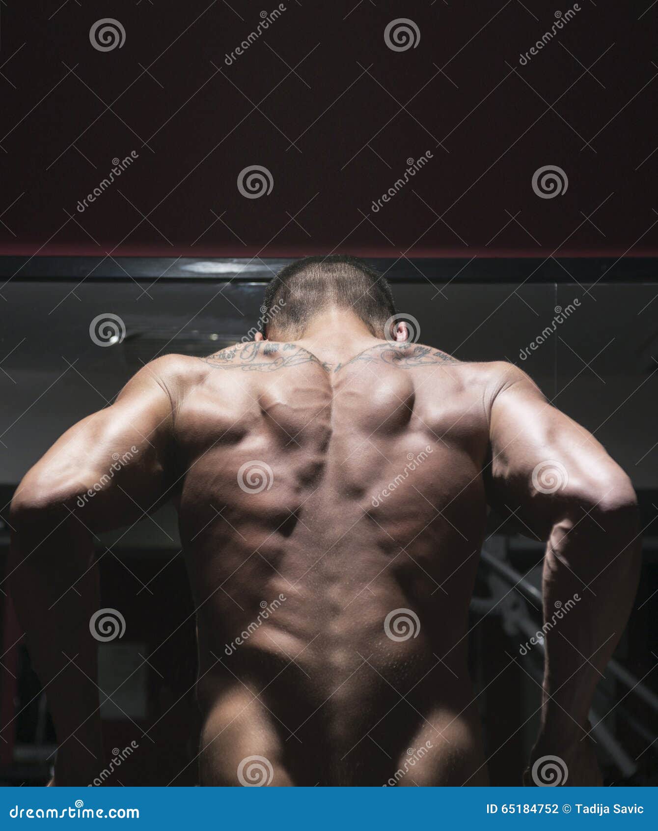 Bodybuilder from back stock photo. Image of dumbbell - 65184752